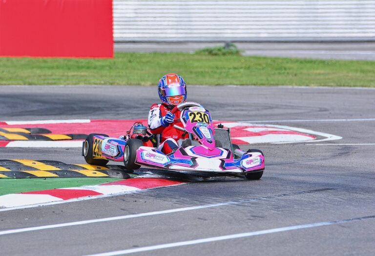 Biofuel makes its debut in FIA karting competitions | Biofuels ...