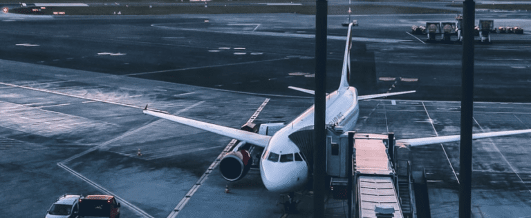 Oleo-X launches feedstock facility for renewable diesel and SAF ...