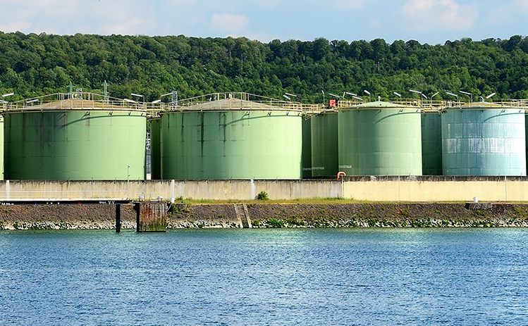 DNV: Biofuel usage in maritime industry on the increase | Biofuels ...