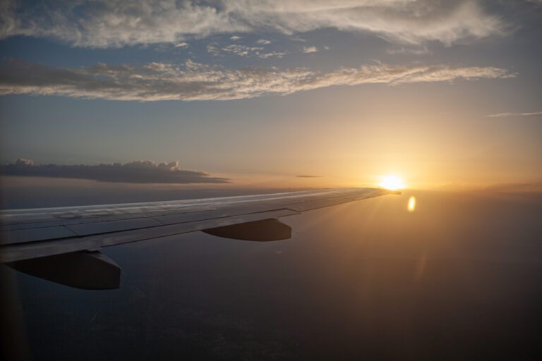 IATA: SAF production to hit 69 billion litres in five years | Biofuels ...