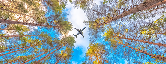IATA to track airlines’ net-zero progress | Biofuels International Magazine