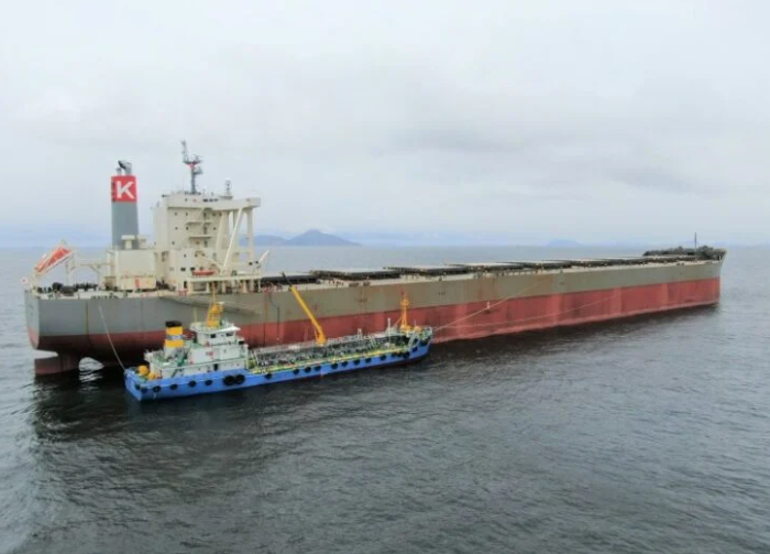 Marine biofuel shipment successfully completed | Biofuels International ...