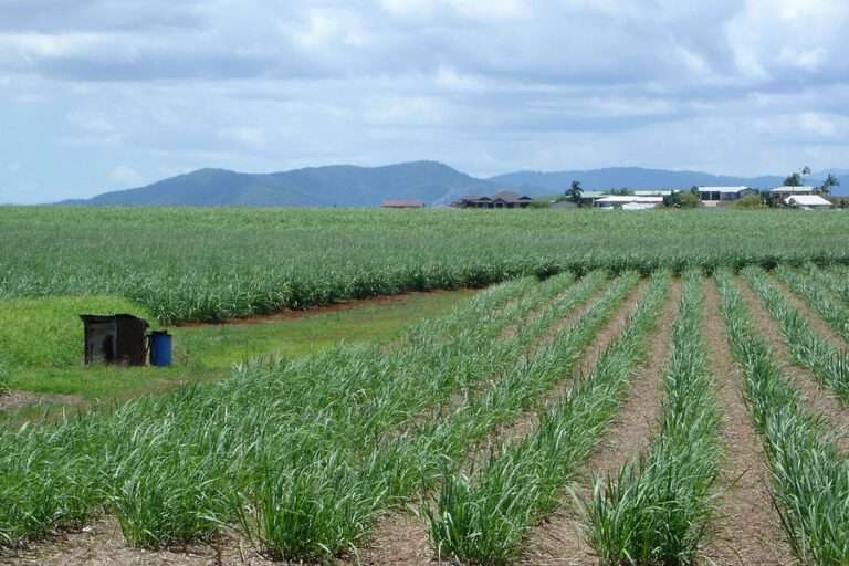 Oceania Biofuels is latest company to halt biofuel project - Biofuels ...