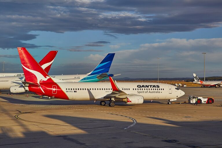 SAF One acquires Green Biotrade to boost feedstock supply chain | Biofuels International Magazine