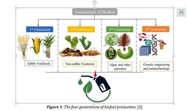 Recent advancements in bioethanol technology - Biofuels International ...