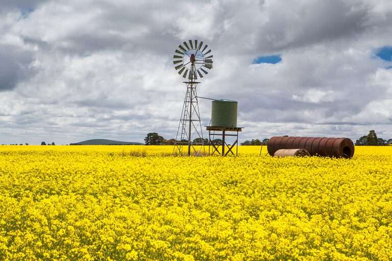 Australian government vows to invest millions in biofuels industry ...