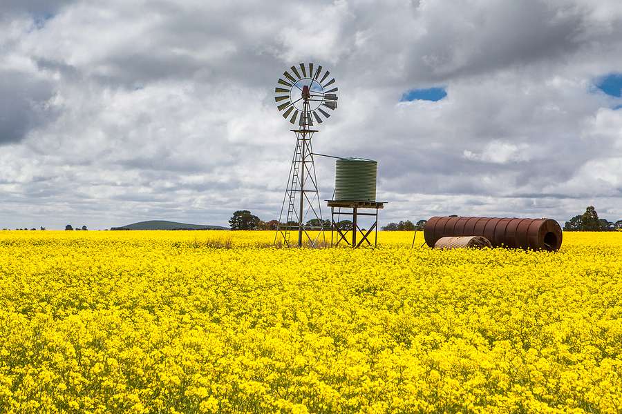 Australian government vows to invest millions in biofuels industry ...