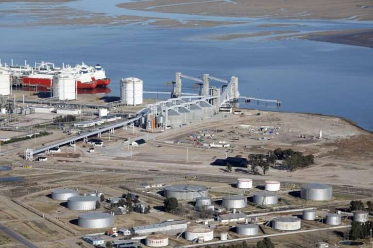 LDC to build new sunflower and soy processing plant - Biofuels ...